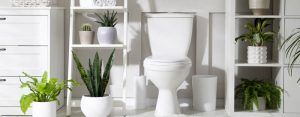 7 Common Toilet Cistern Problems and How to Fix Them - Ravish Magazine